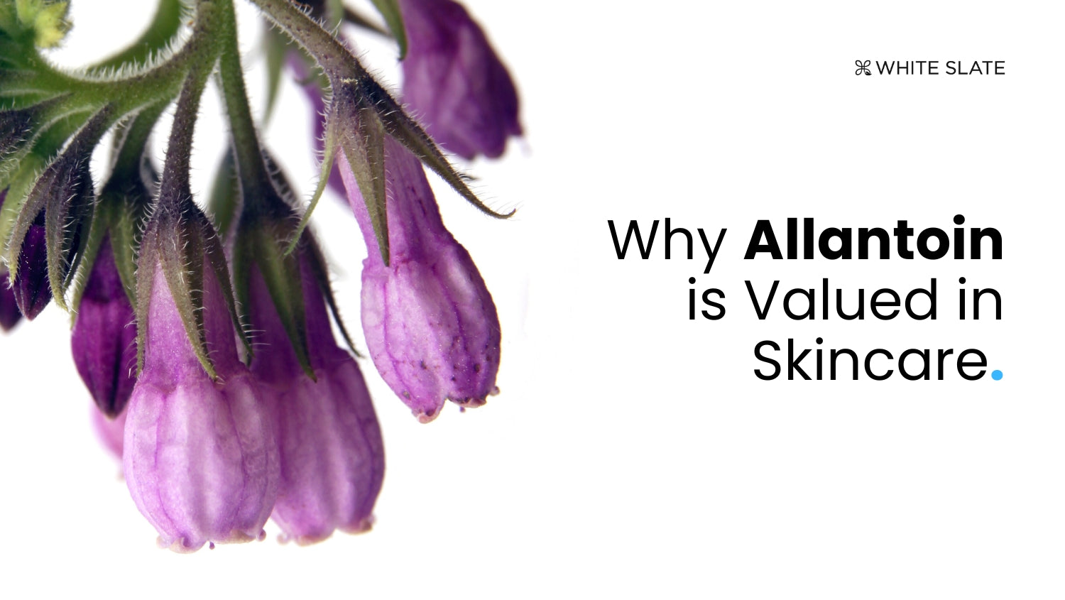 Why Allantoin is Valued in Skincare? – WHITE SLATE