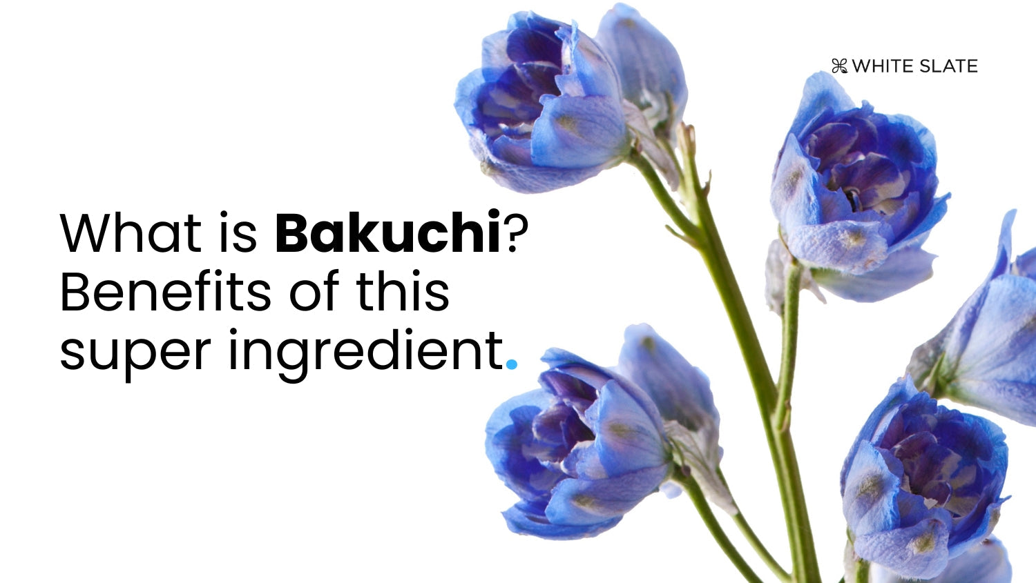 What is Bakuchi? Benefits of This Super Ingredient for Skincare ...